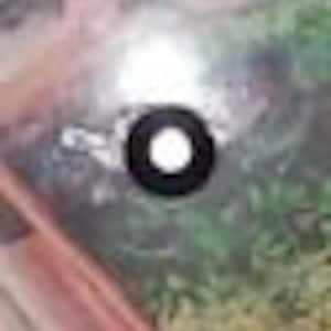 ST. EDITH STEIN - Relic Holy Card - Blessed by Pope Francis - Etsy