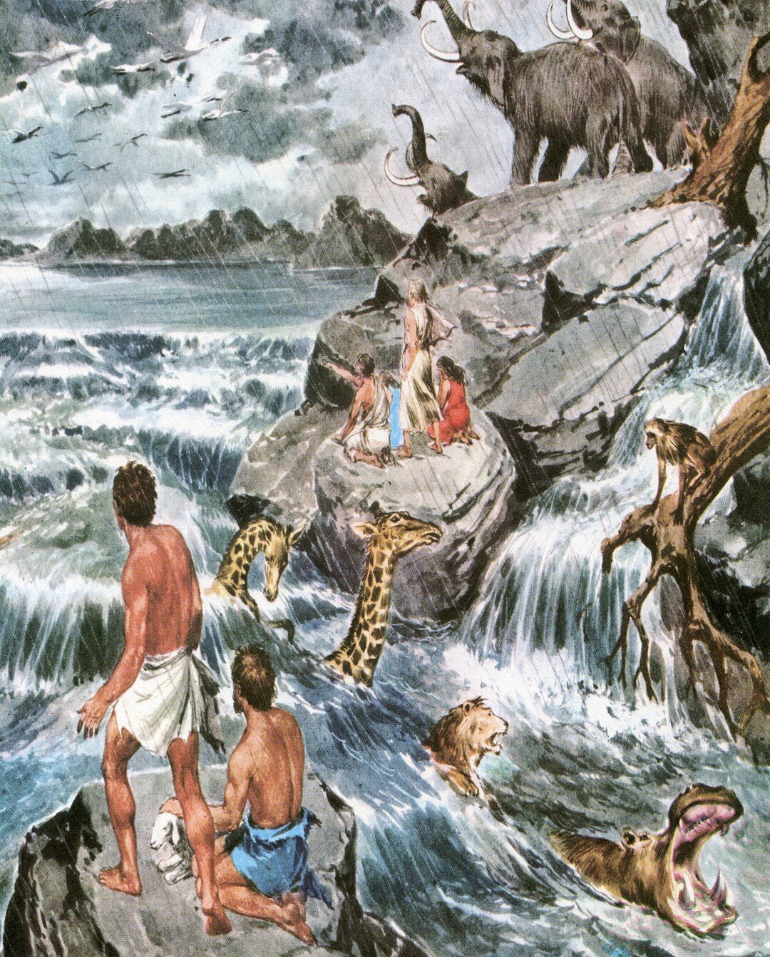 The Great Flood T Catholic Picture Print - Etsy