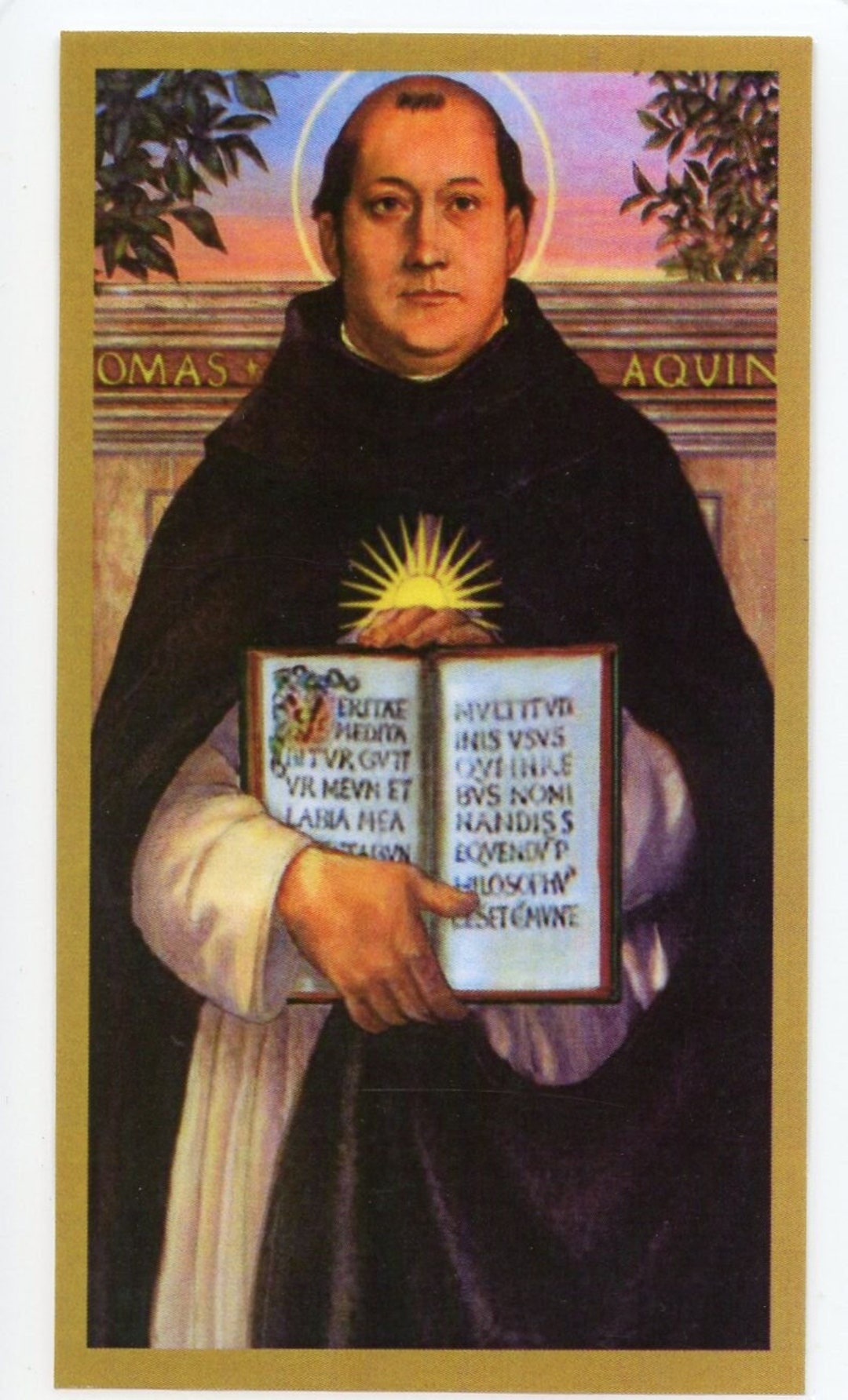 Prayer to Saint Thomas Aquinas for Students U - Holy Card - Prayer Card ...
