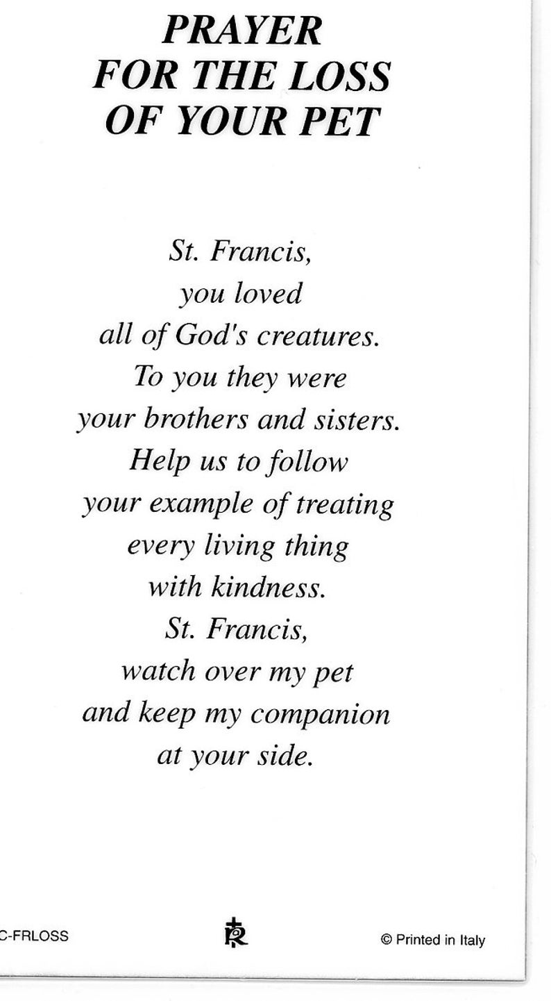 Prayer for the Loss of Your Pet Holy Card Prayer Card pack of 25 - Etsy