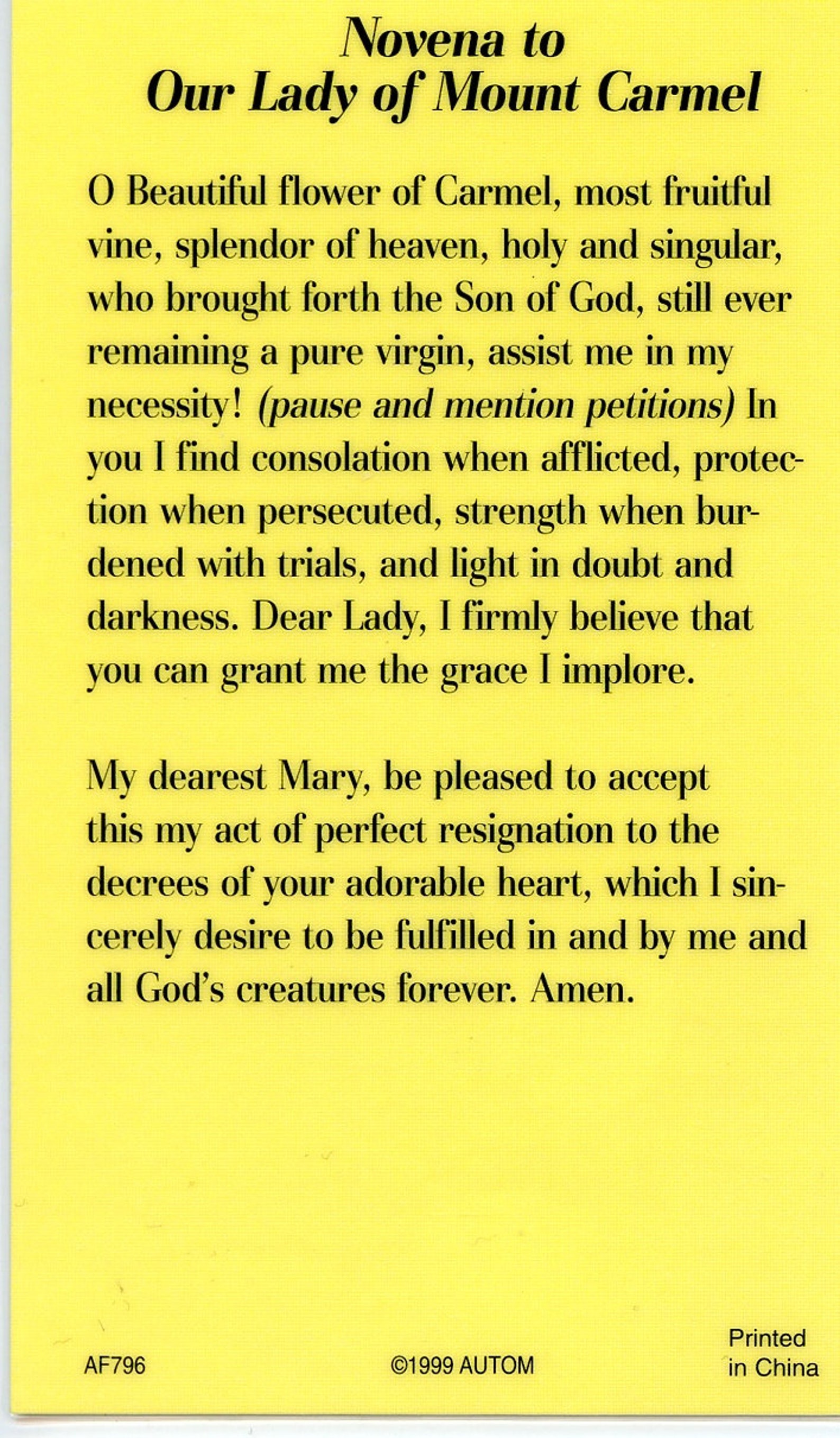 Our Lady of Mt. Carmel 2 Holy Card Prayer Card pack of 25 - Etsy