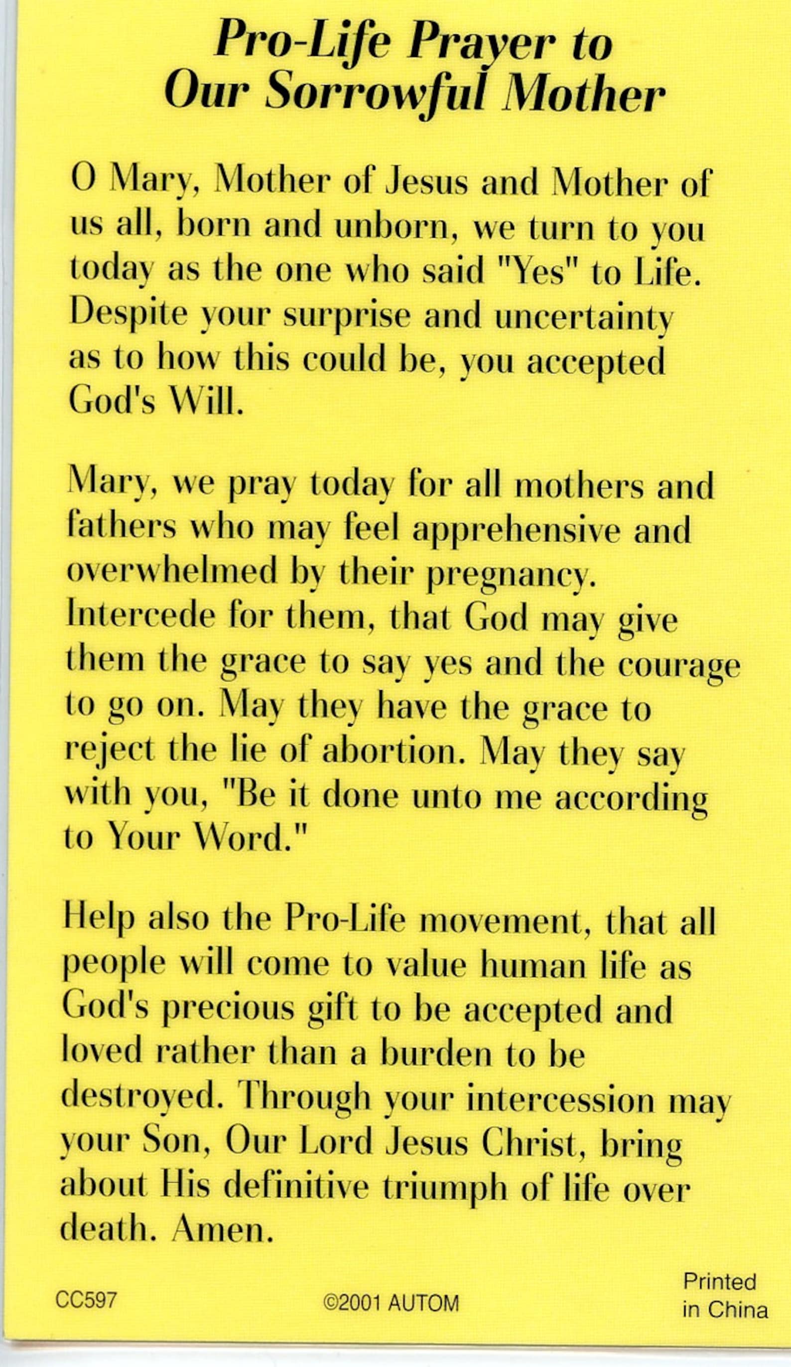 PRO-LIFE PRAYER Holy Card Prayer Card pack of 25 - Etsy
