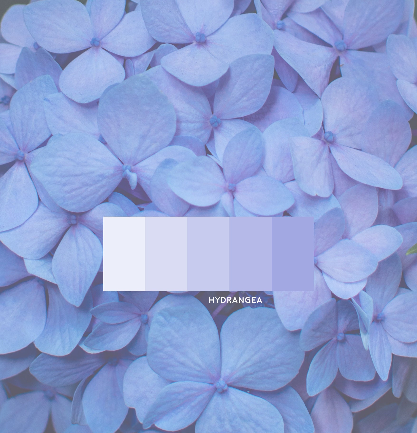 25 Periwinkle Digital Note Taking Templates | A4 Size | Goodnotes ...
