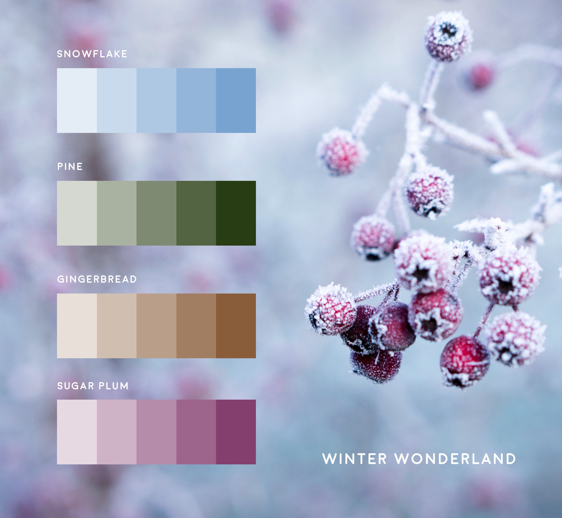 25 Winter Snowflake Blue Digital Note Taking Templates | Letter Size ...