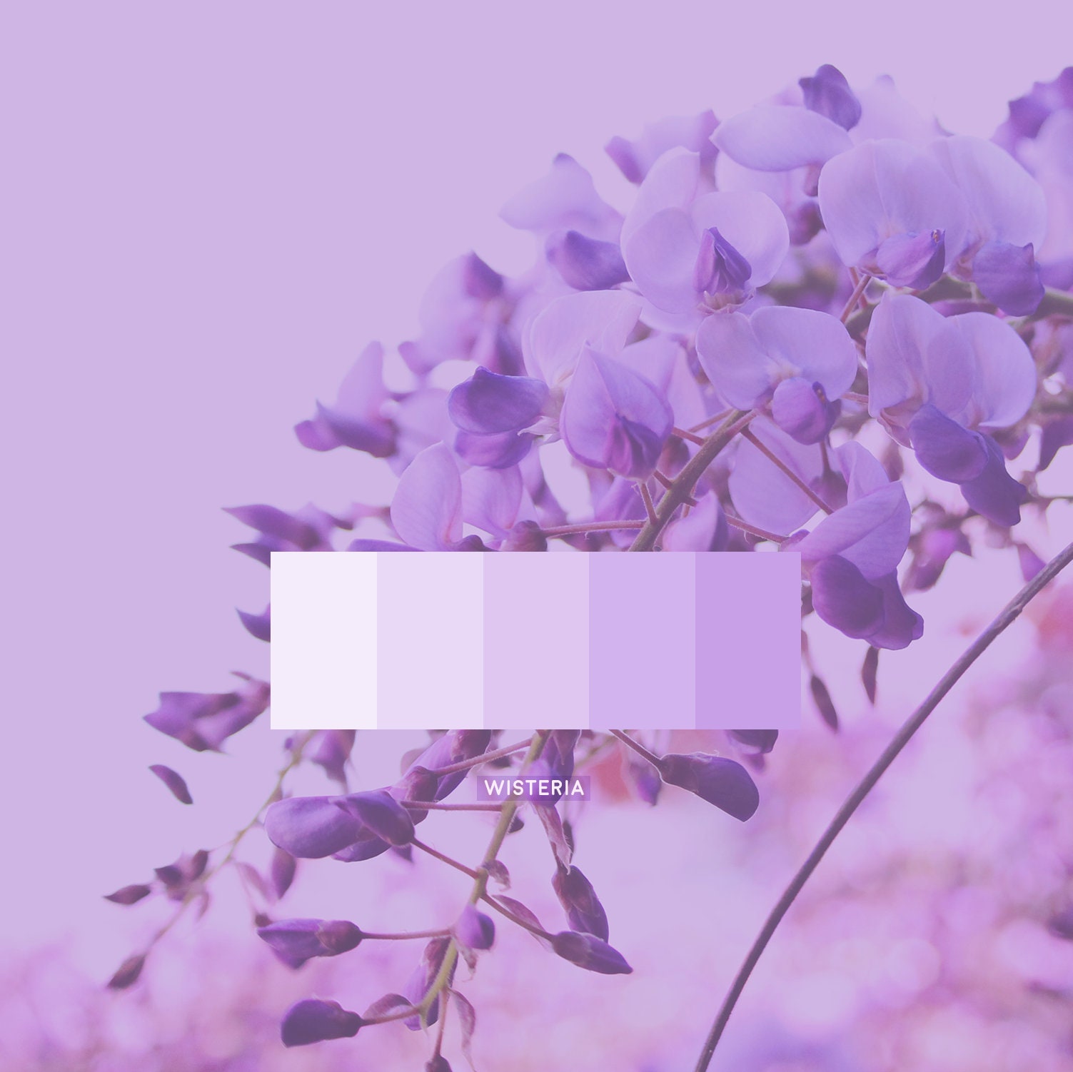 25 Lavender Digital Note Taking Templates | A4 Size | Goodnotes ...