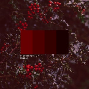 20 Holly Red Color Digital Note Taking Templates | Goodnotes Size ...