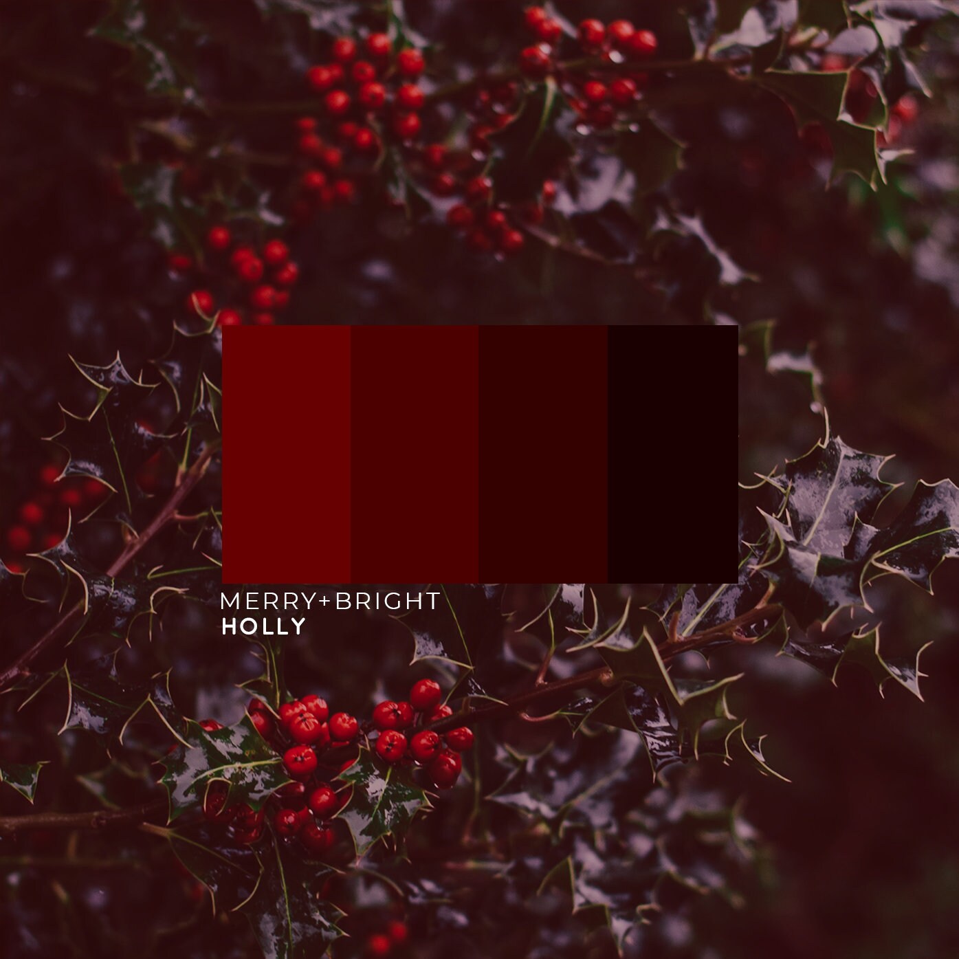 20 Holly Red Color Digital Note Taking Templates Goodnotes - Etsy