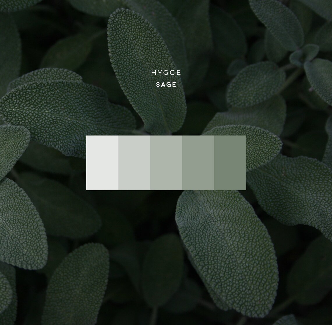 25 Sage Green Digital Note Taking Templates | Letter Size | Notability ...
