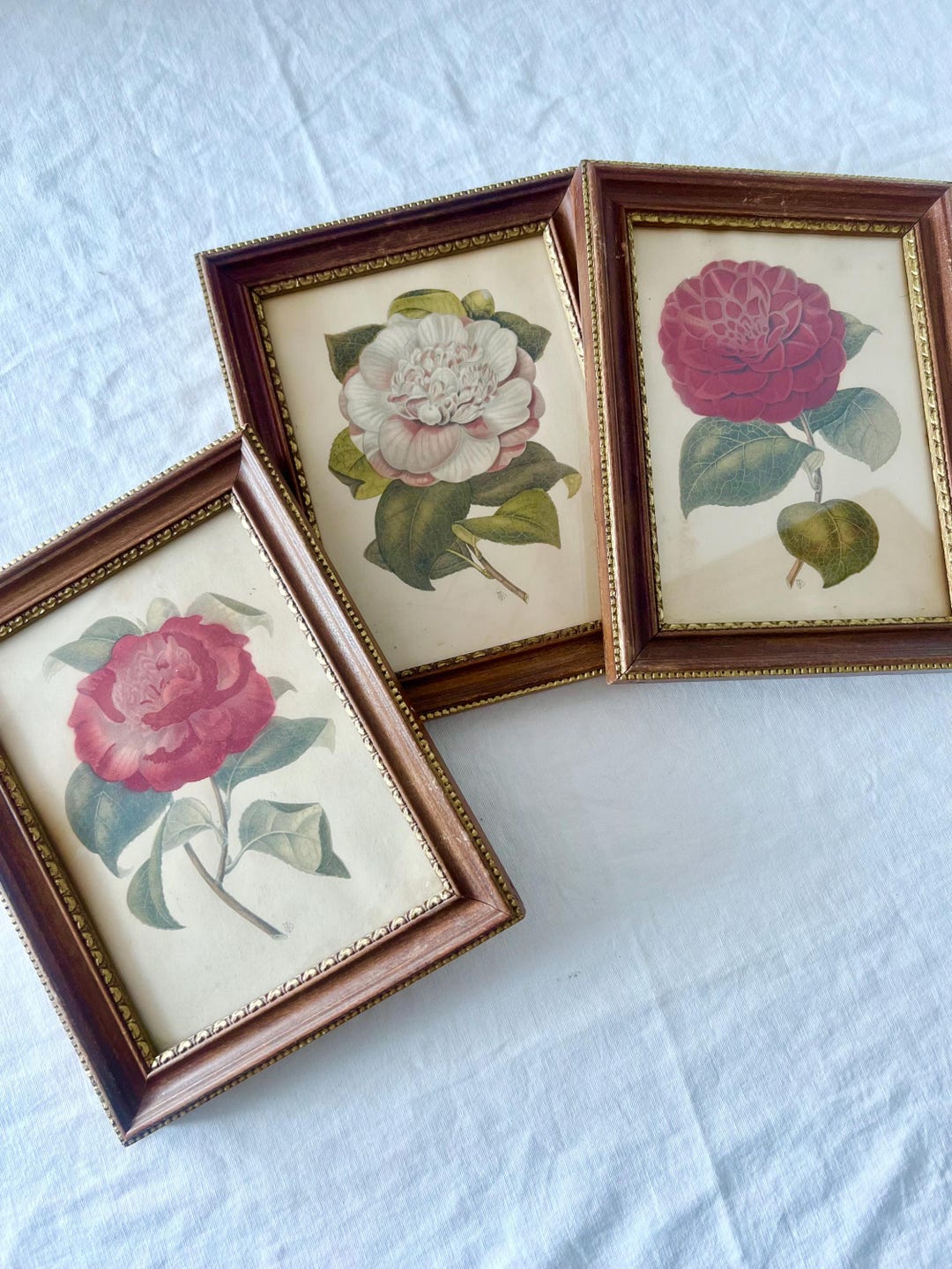 Set of Three Framed Floral Lithographs by IB Fischer Co - Etsy