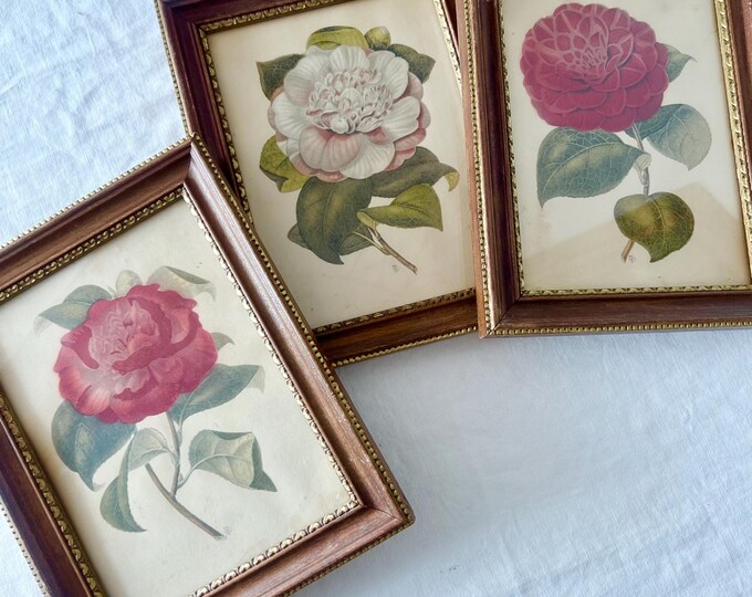 Set of Three Framed Floral Lithographs by IB Fischer Co - Etsy