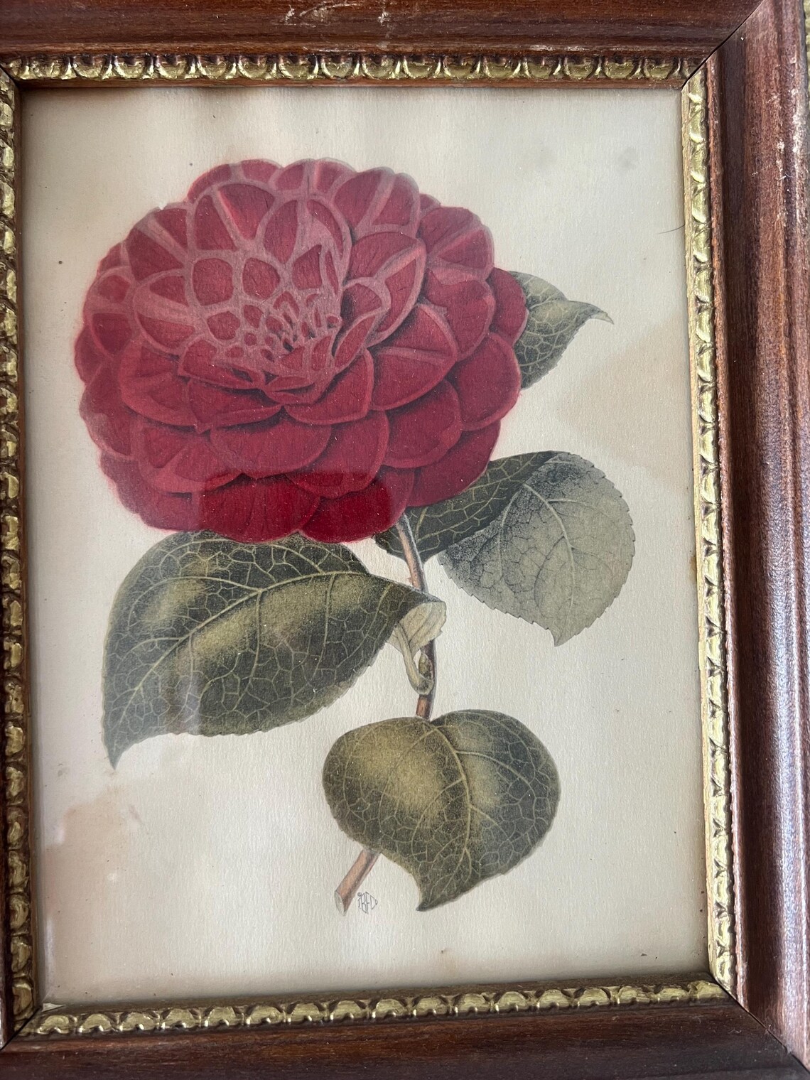Set of Three Framed Floral Lithographs by IB Fischer Co - Etsy
