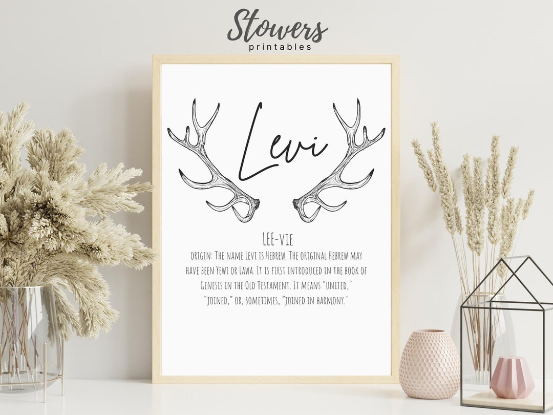 Levi Name Sign, Baby Name Signs, Name Print, Wall Art, Minimalist Print ...