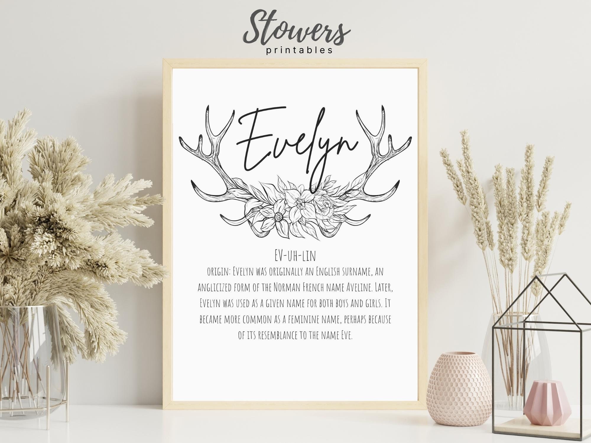 Evelyn Name Graphic
