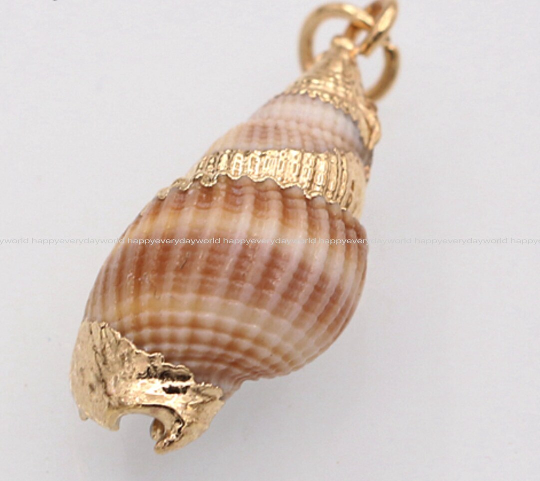 Unique Gold Plated Real Sea Snail Shell Cowrie Charm Pendant With Ring ...