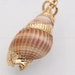 Unique Gold Plated Real Sea Snail Shell Cowrie Charm Pendant With Ring ...