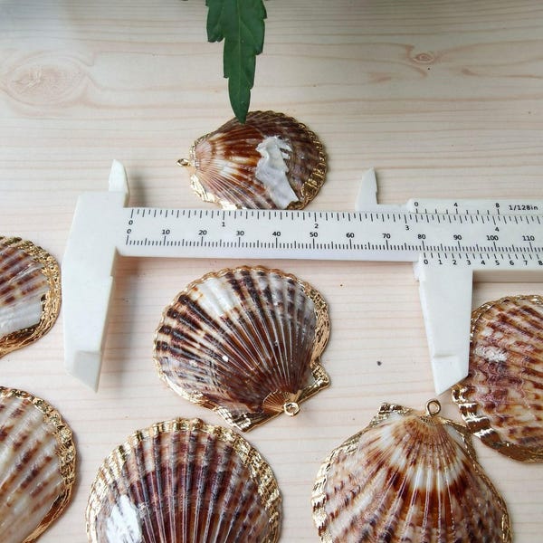 Brass Seashell Fan - Etsy