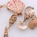 Unique Gold Plated Real Sea Snail Shell Cowrie Charm Pendant With Ring ...