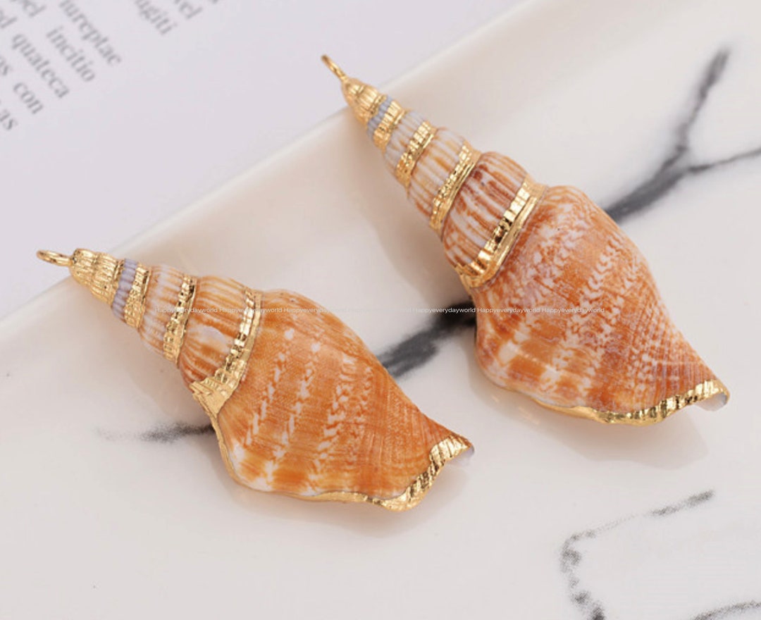 Huge Unique Gold Plated 67x24mm Real Sea Screw Snail Shell Cowrie Charm ...