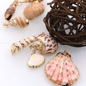 Unique Gold Plated Real Sea Snail Shell Cowrie Charm Pendant With Ring ...