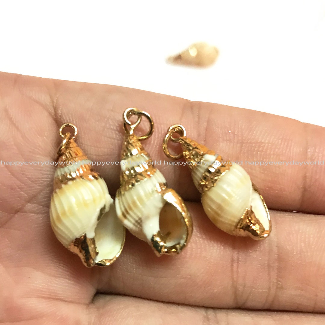 SHELL White Real Sea Snail 14k Gold Plated Shell Cowrie Charm Pendant ...