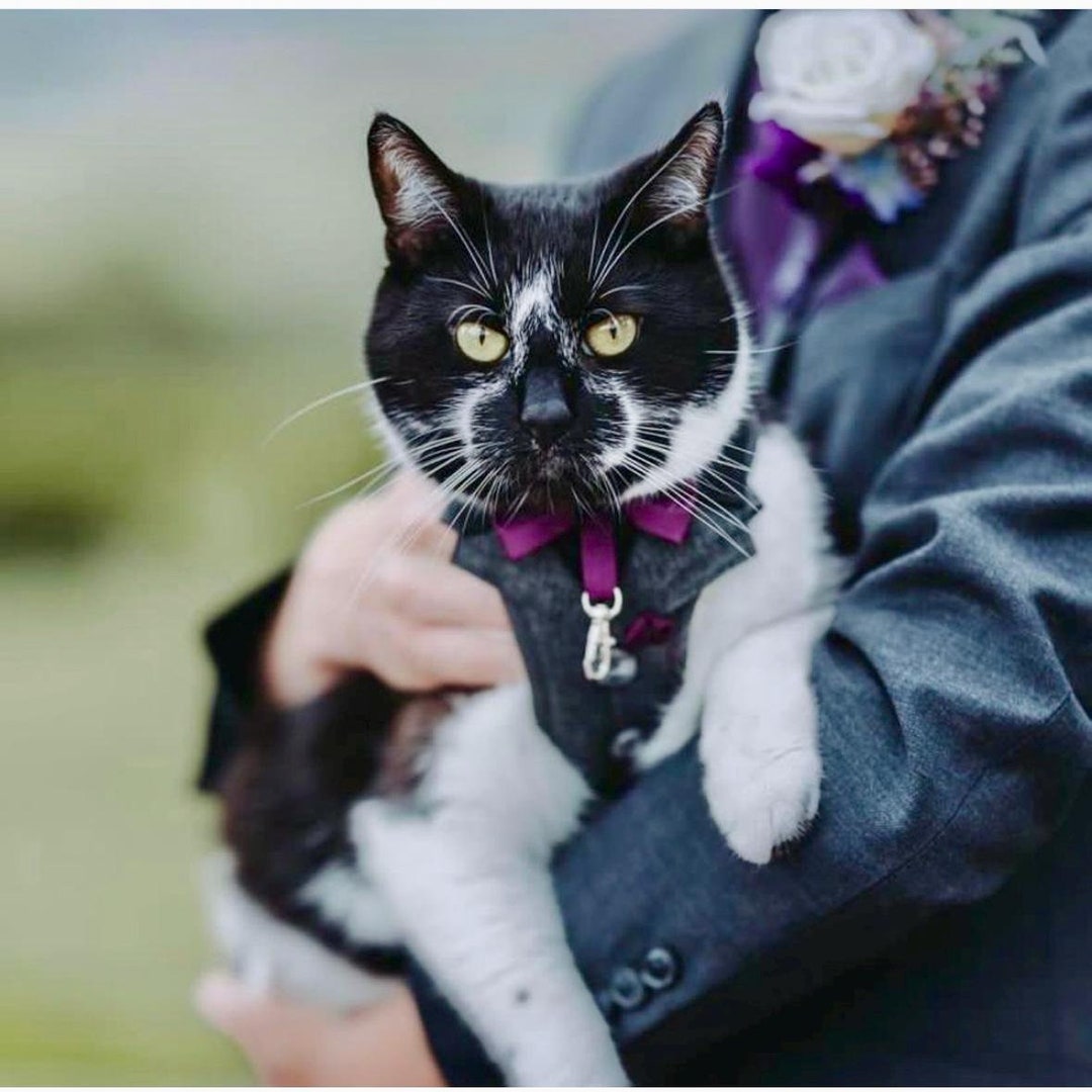 Cat Tuxedo for Wedding Cat of Honor Groomsman Outfit Ringbearer - Etsy