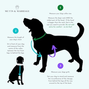 Dog Wedding Tuxedo Harness. Dog of Honour Ring Bearer Groomsman Outfit ...