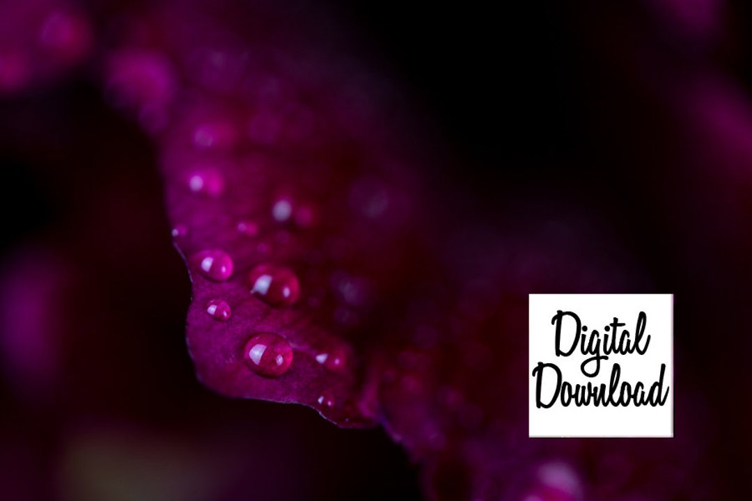 Water Drop Macro Photography Digital Printable Download - Etsy