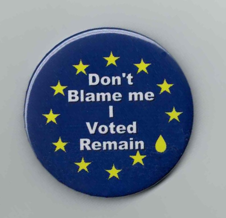 Dont Blame Me I Voted Remain Button Badge - Etsy