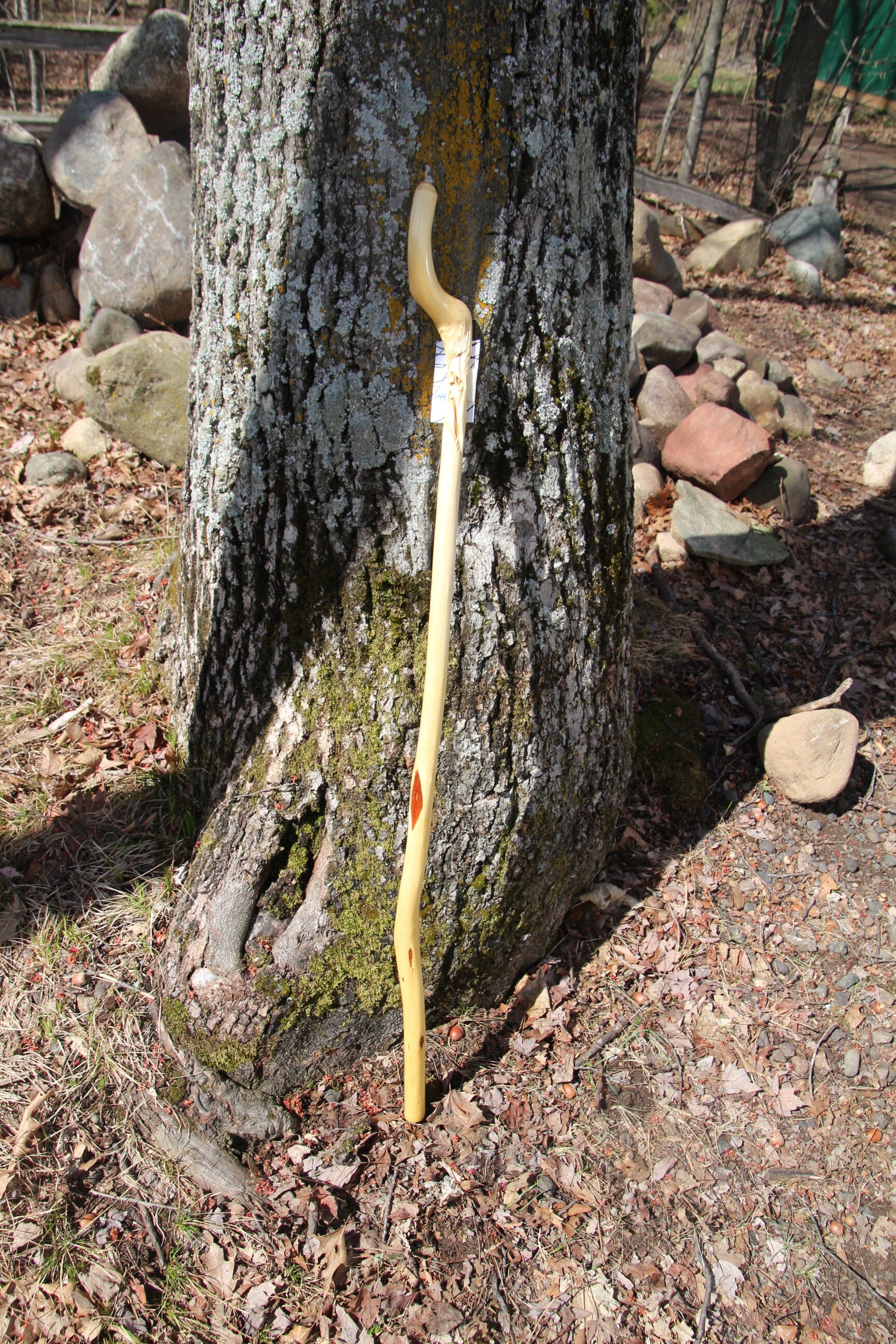 DIAMOND WILLOW Natural Bend CANE With Carved Wood Spirit - Etsy
