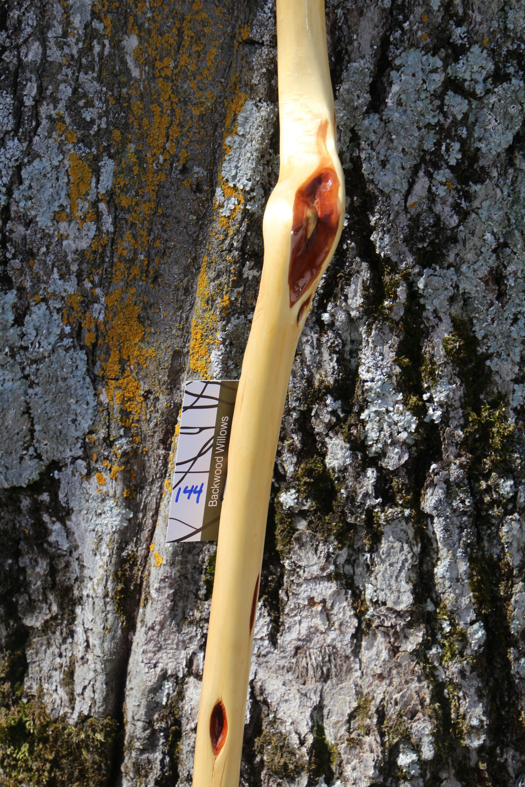 DIAMOND WILLOW Natural Bend CANE With Carved Wood Spirit - Etsy