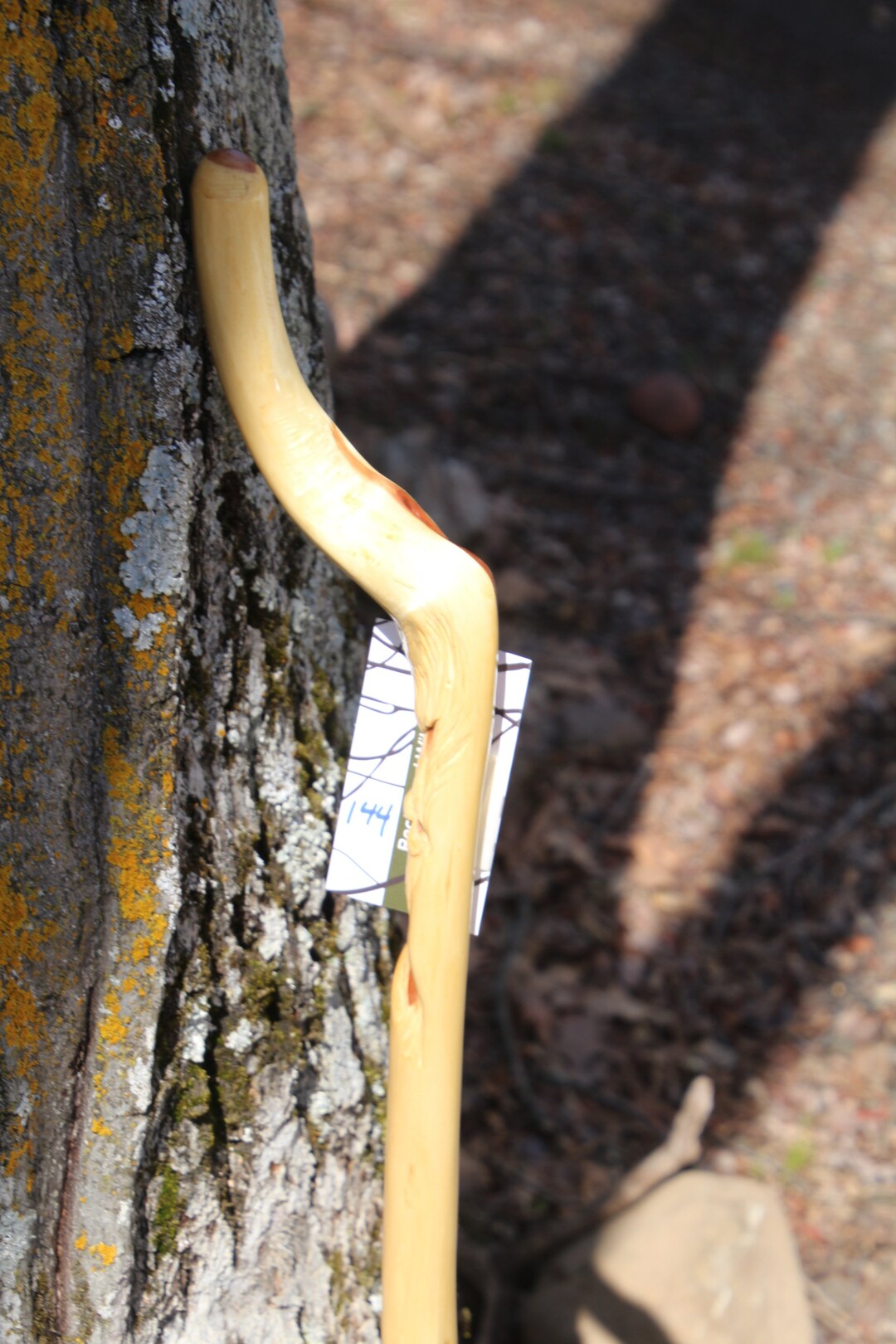 DIAMOND WILLOW Natural Bend CANE With Carved Wood Spirit - Etsy