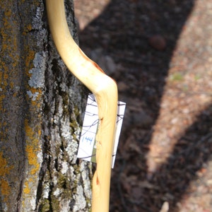 DIAMOND WILLOW Natural Bend CANE With Carved Wood Spirit - Etsy