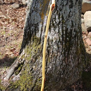 DIAMOND WILLOW Natural Bend CANE With Carved Wood Spirit - Etsy