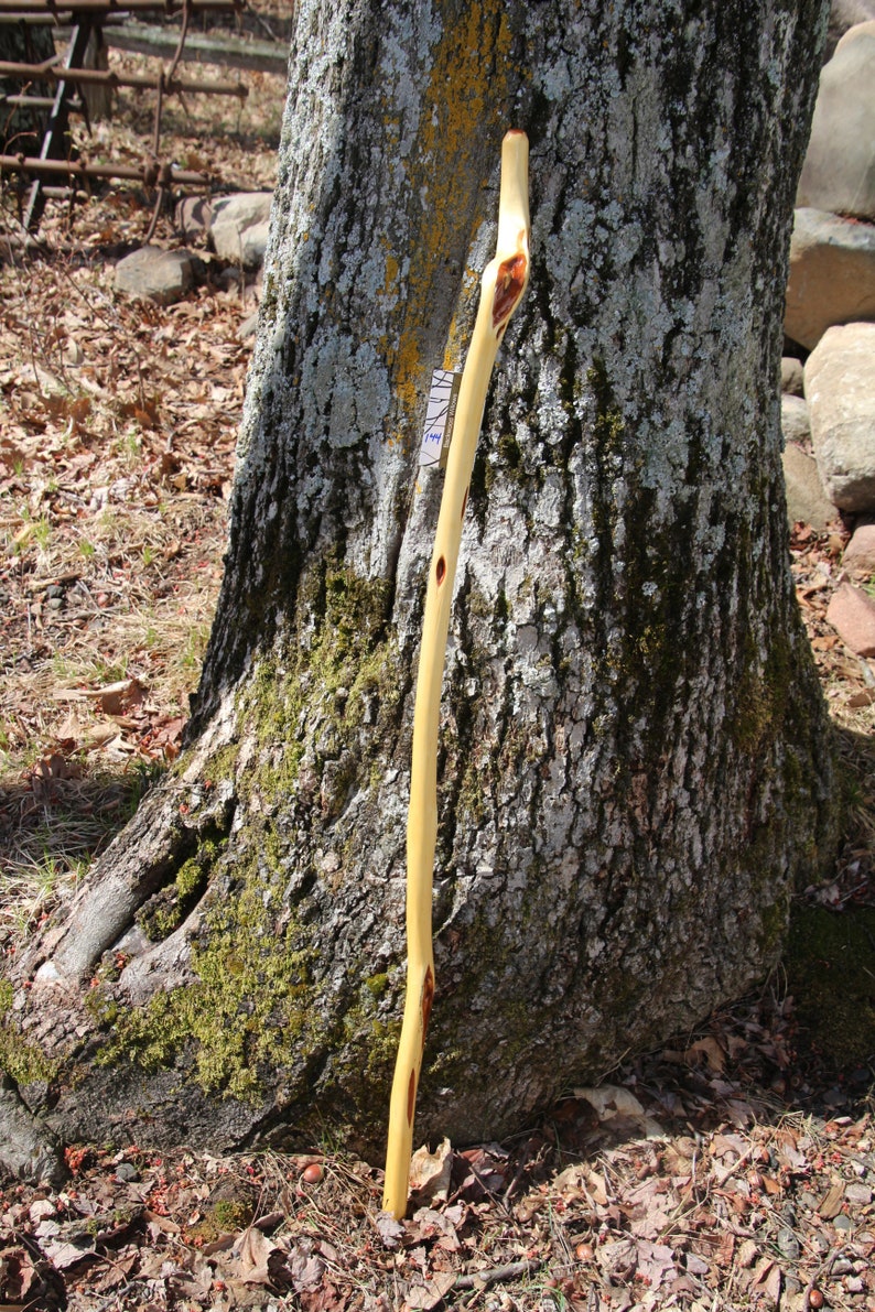 DIAMOND WILLOW Natural Bend CANE With Carved Wood Spirit - Etsy