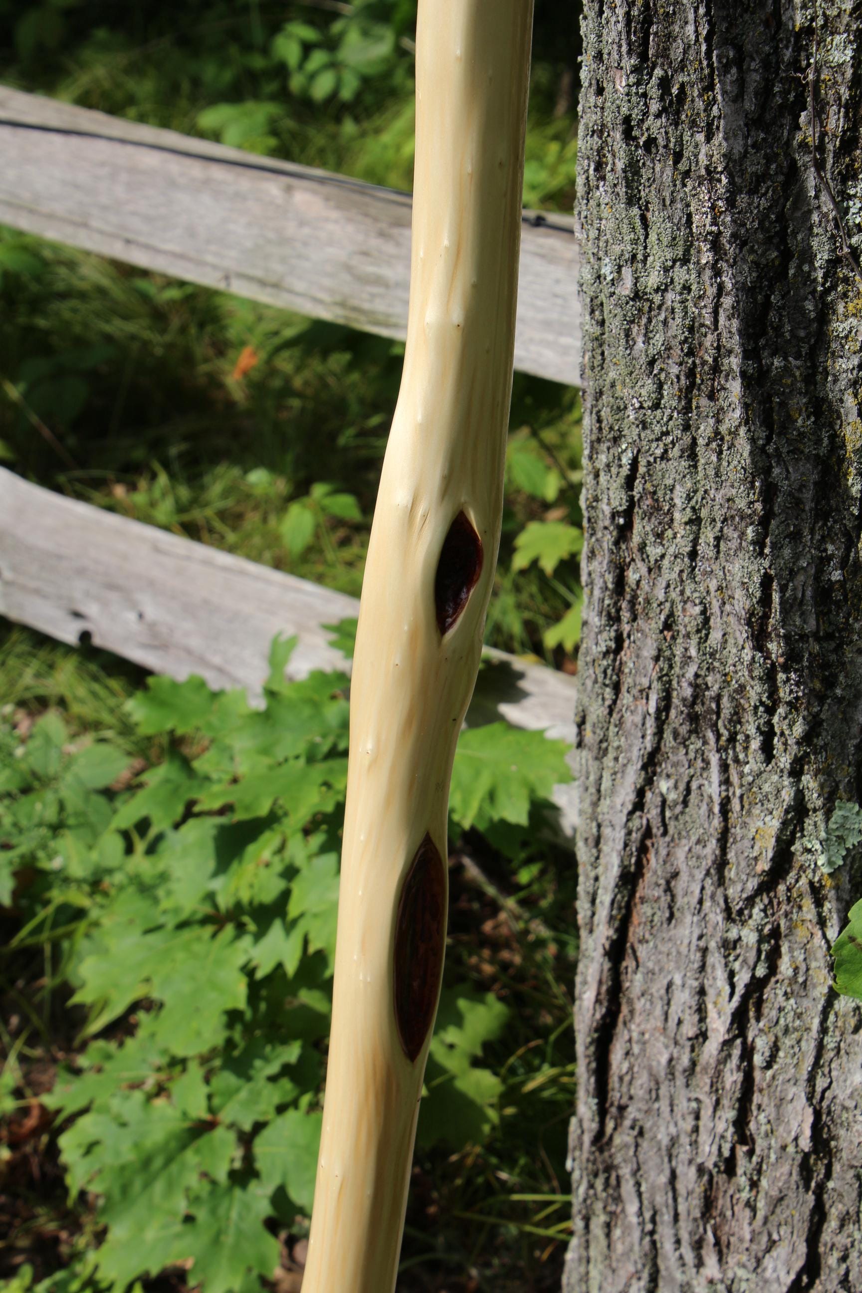 Price Reduced-diamond WILLOW Hiking/walking Stick With Carved Wood ...