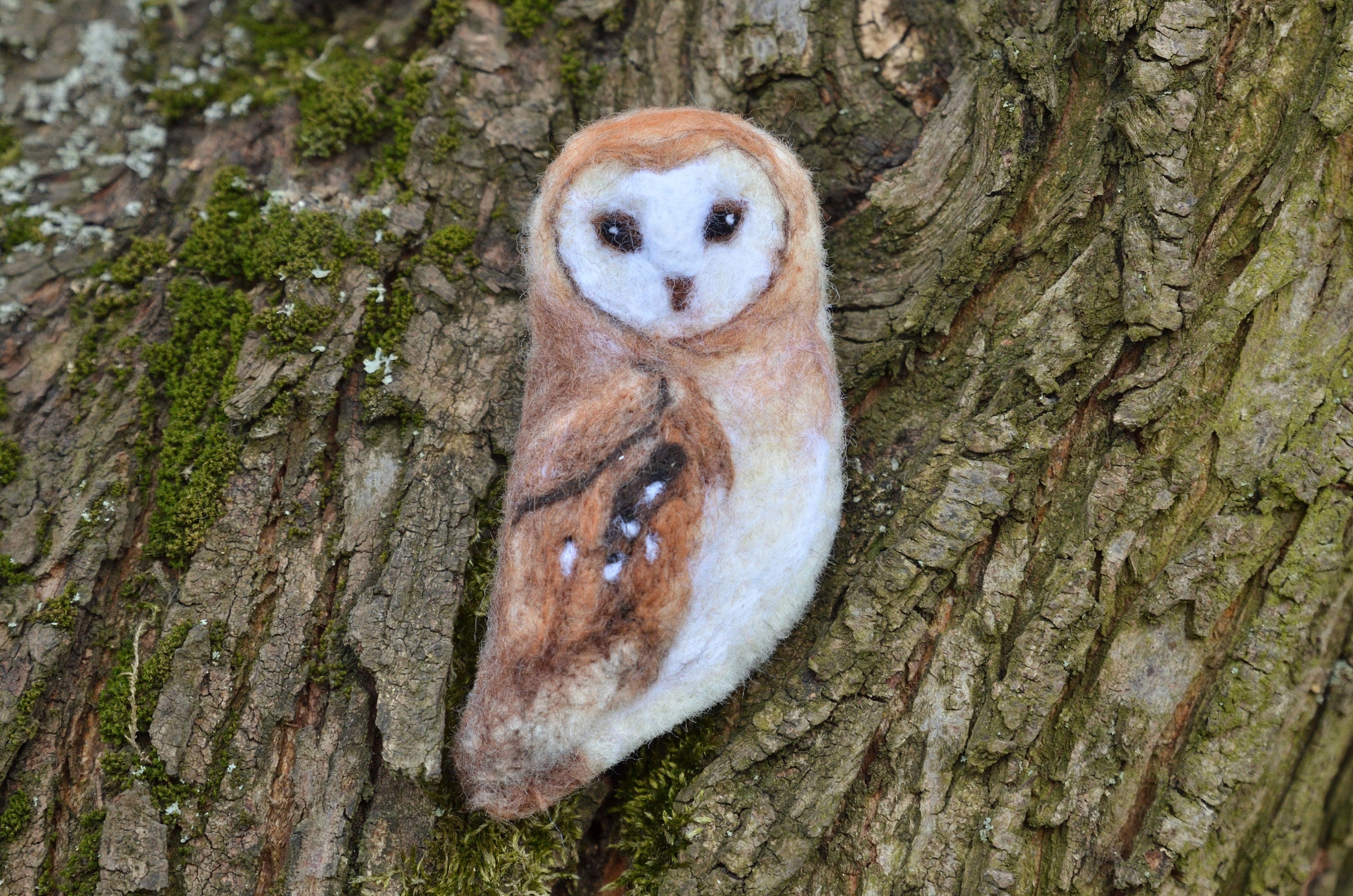 Bird Needle Felted Brooch Barn Owl / Bird Shawl Pin / - Etsy