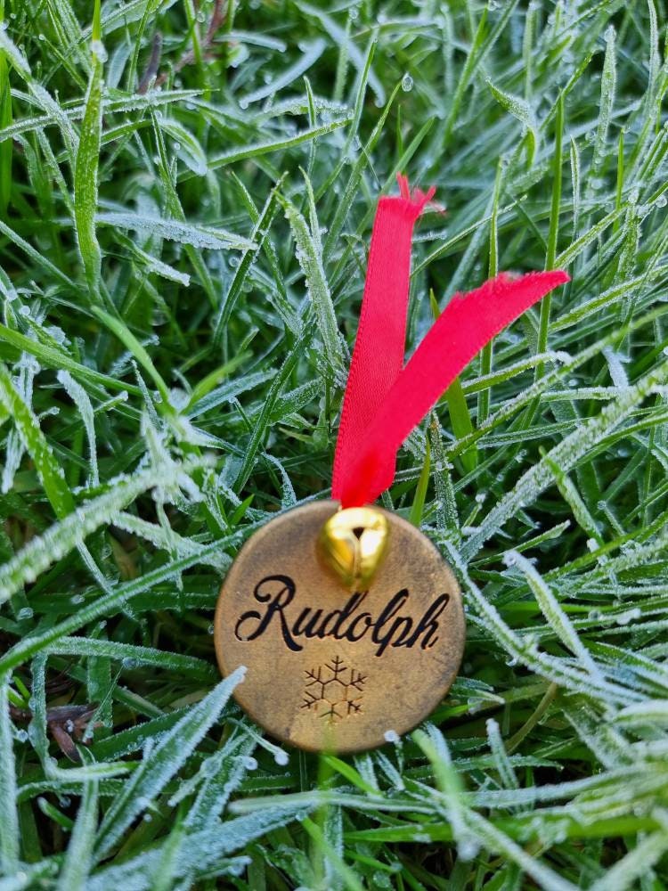 Deluxe Rudolph's Lost Name Tag Christmas Eve Box - Etsy UK