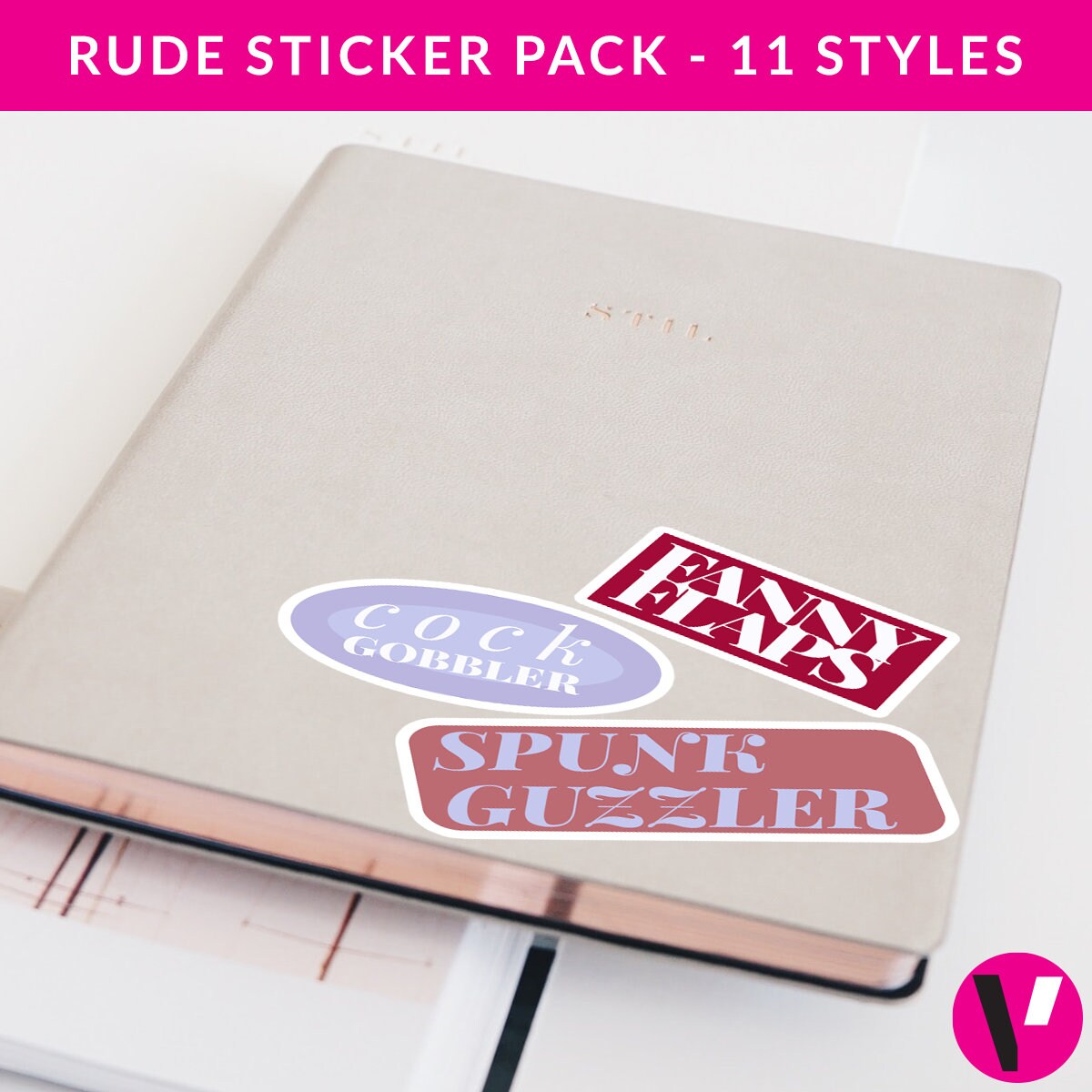 Rude Offensive Sticker Pack Wanker Dickhead Funny Bullet - Etsy UK