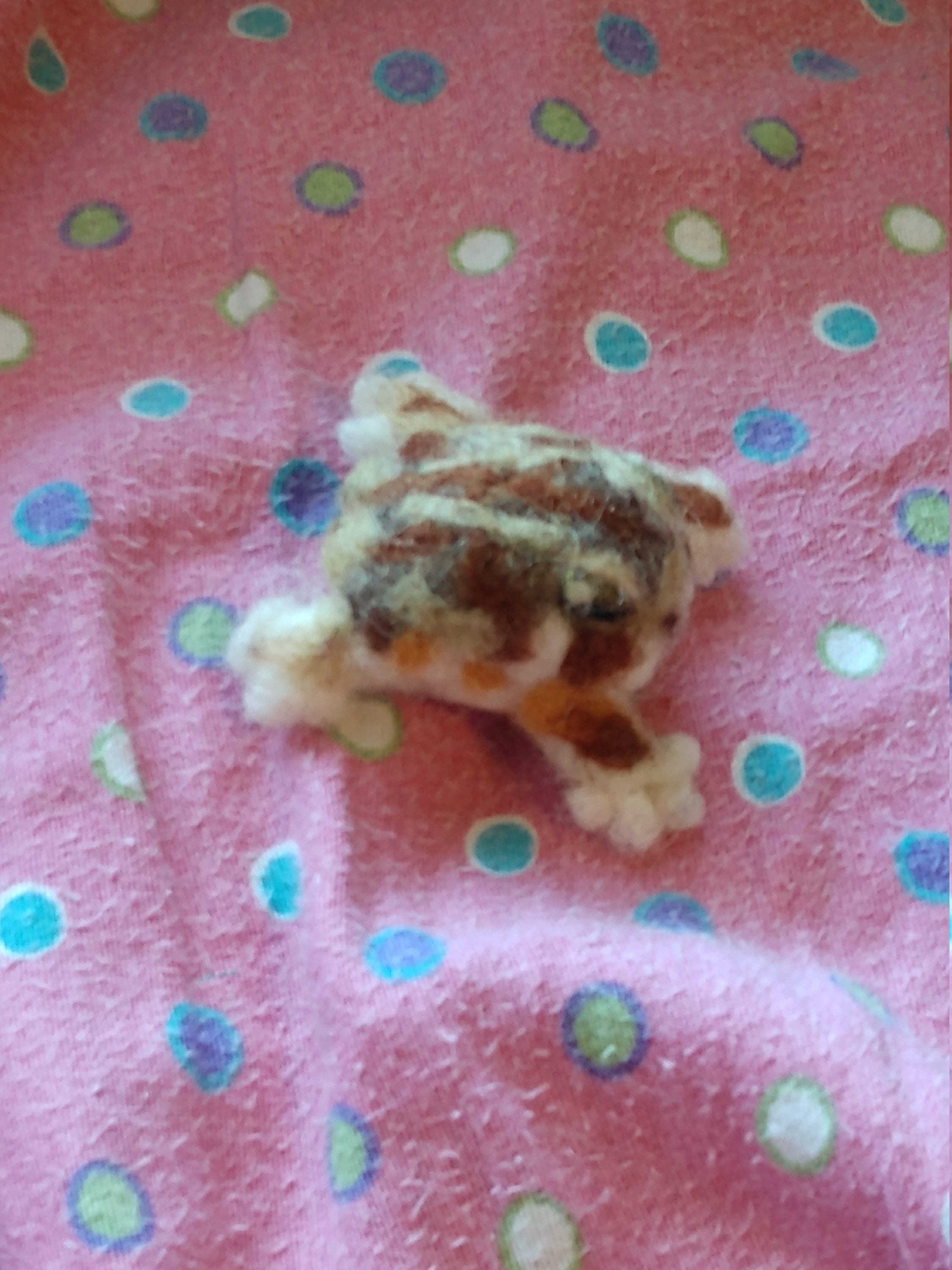 Rain Frog Felt Etsy rain-frog-felt-etsy