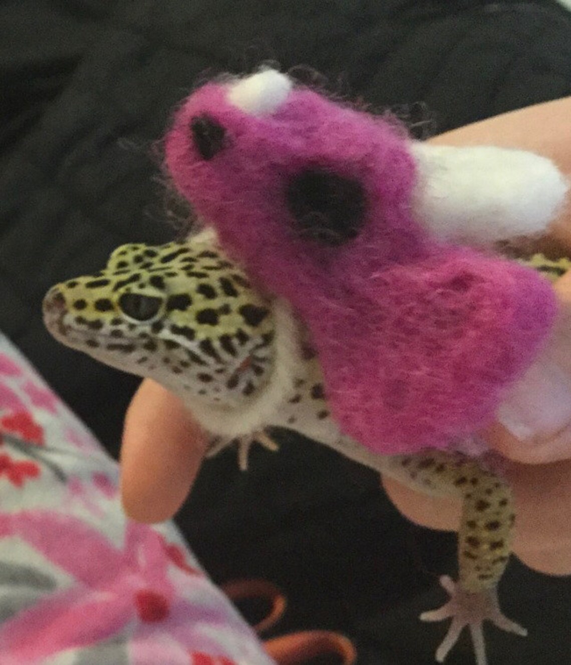 Leopard Gecko and Other Lizard Hats - Etsy