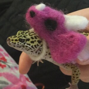 Leopard Gecko (and Other Lizard) Hats - Etsy