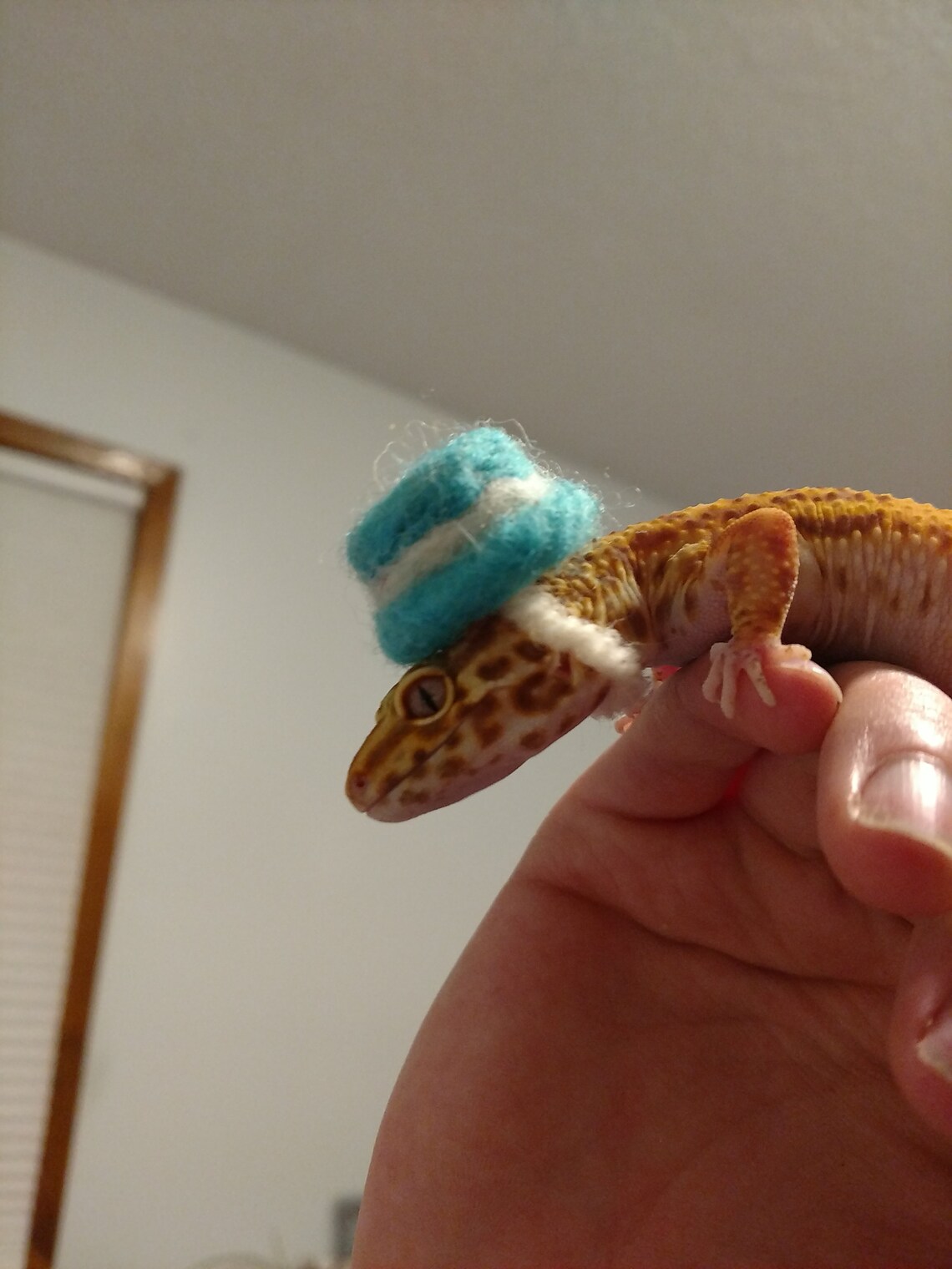 Leopard Gecko and Other Lizard Hats - Etsy