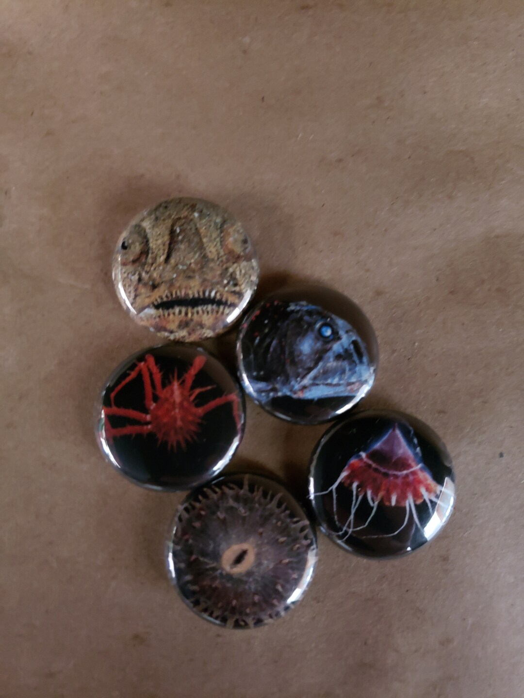 5 Deep Sea Creatures 1" Buttons/badges/pins - Etsy