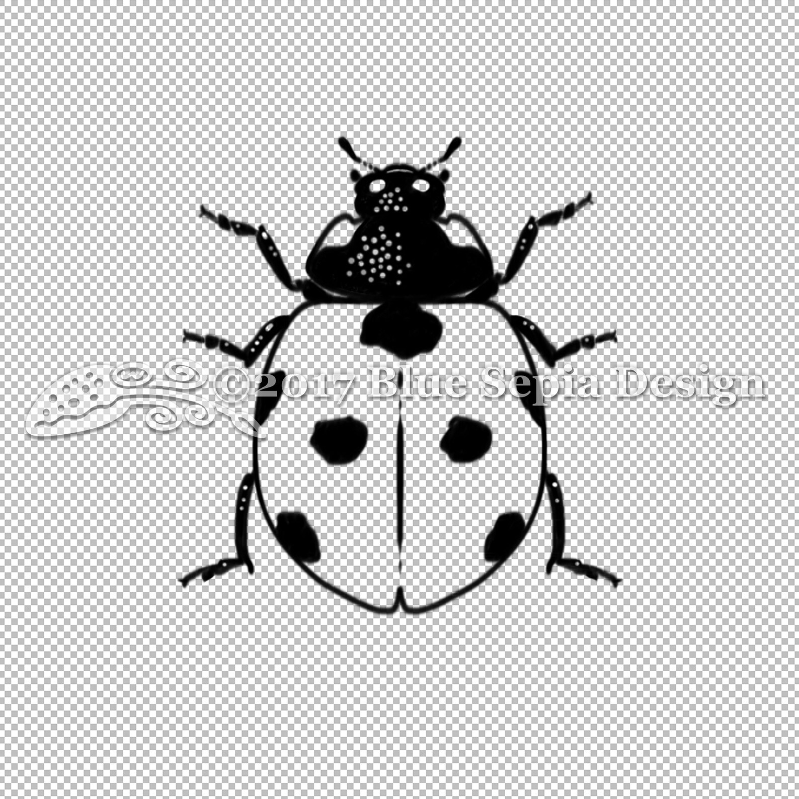 Ladybird Illustration Digital Files Png Jpeg With Embossed - Etsy