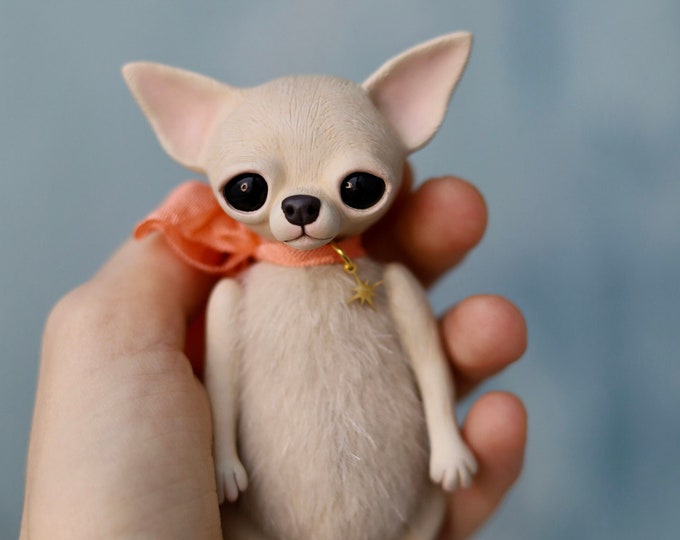 SHINY Cream Chihuahua Puppy, Plush Puppy, Dog Portrait, Teddy Chihuahua ...