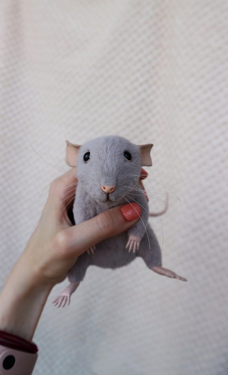 Made to Order Rat Russian Blue Rat Stuffed Rat Realistic - Etsy