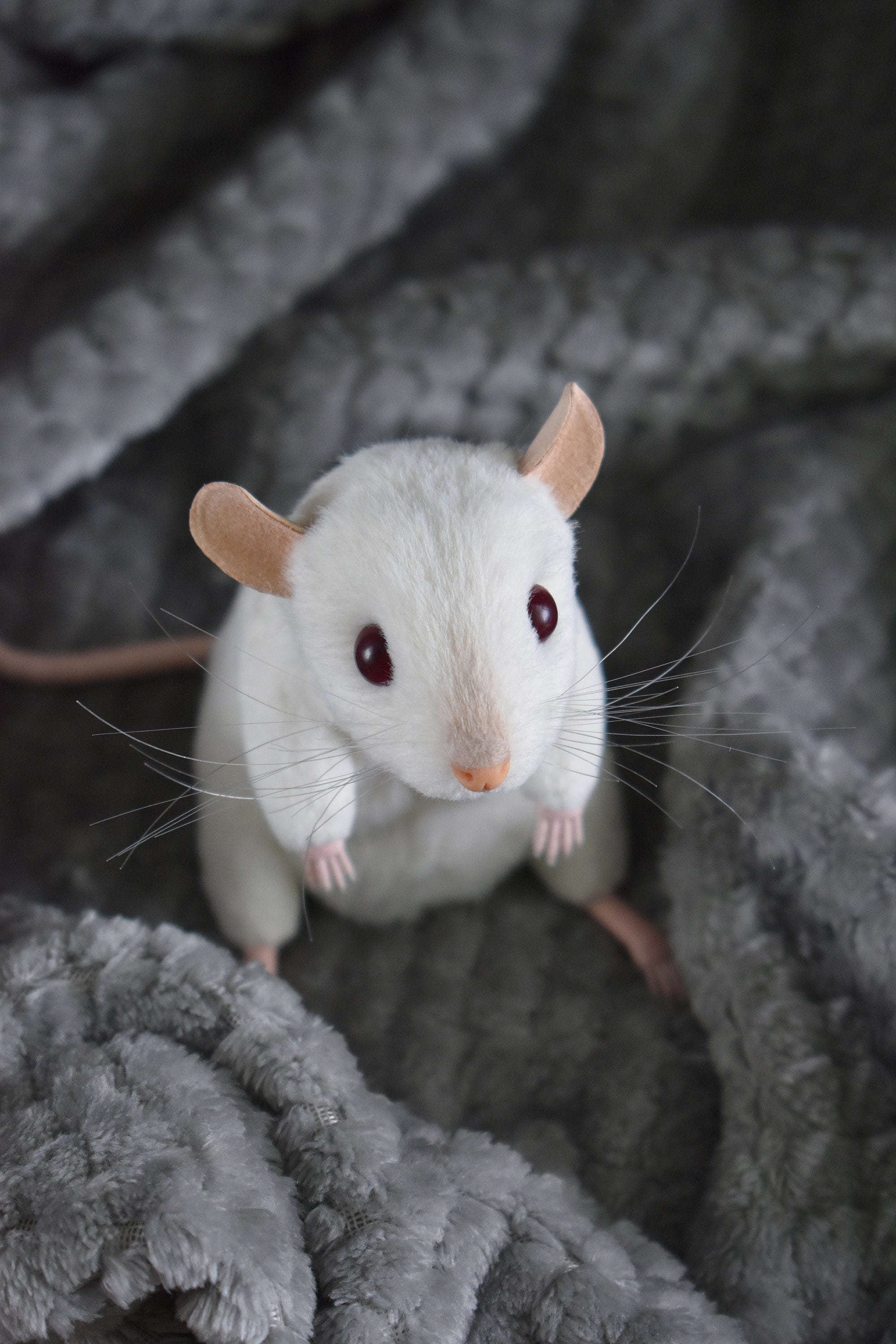 CUSTOM RAT PORTRAIT Made to order rats personalized plush | Etsy