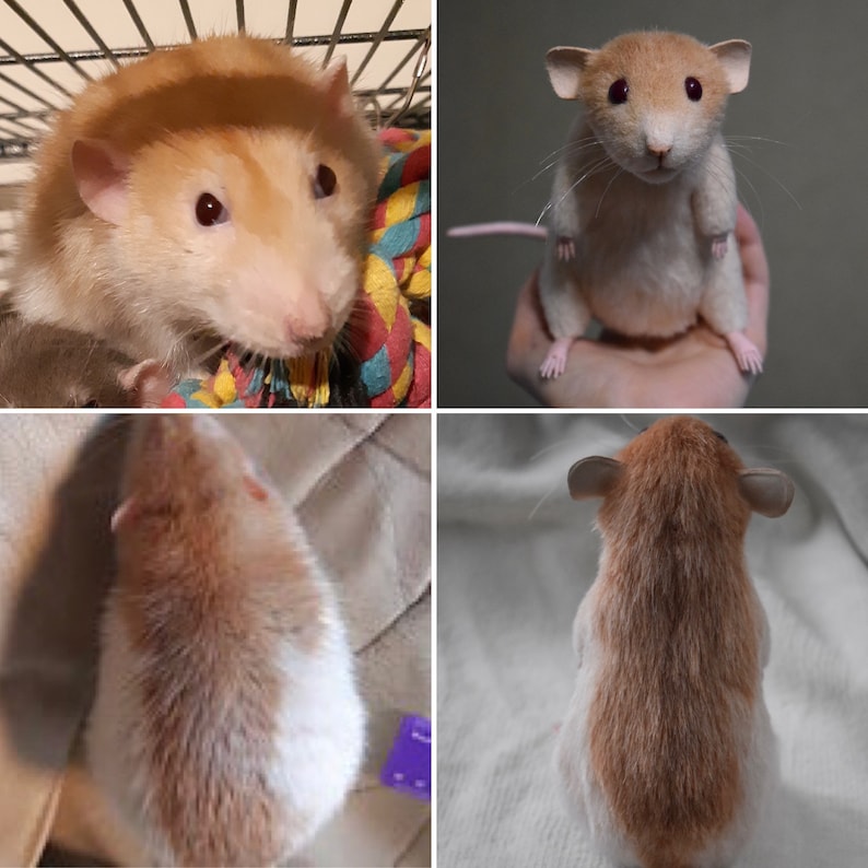 CUSTOM RAT PORTRAIT Made to Order Rats Personalized Plush - Etsy
