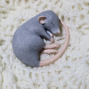 Sleeping Rat, 3d Pet Copy, Rat Portrait, Rat Figurine, Polymer Clay ...