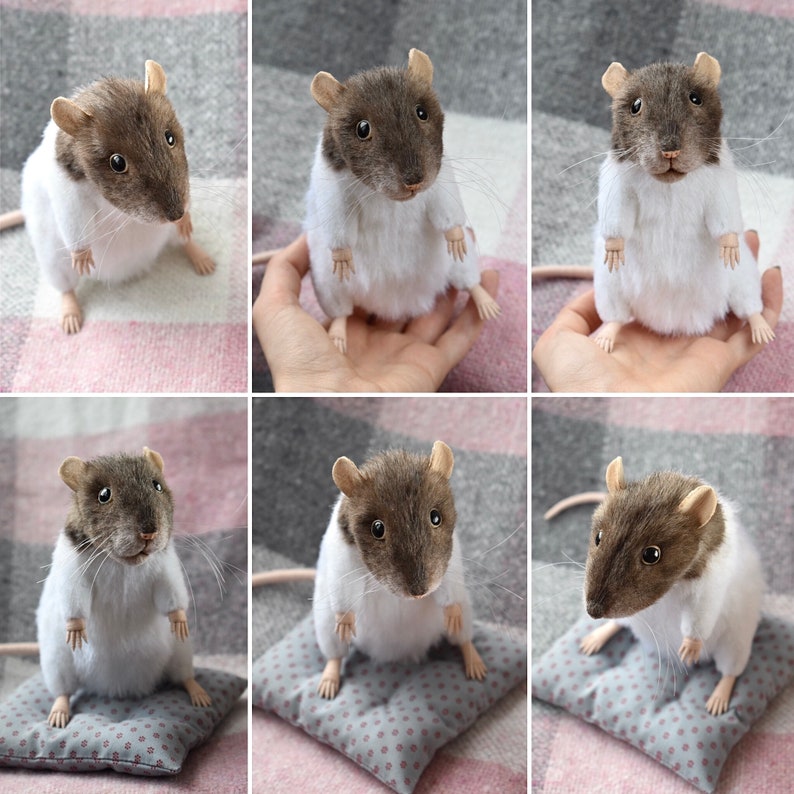 CUSTOM RAT PORTRAIT Made to Order Rats Personalized Plush - Etsy